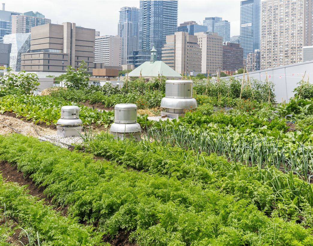 The Best Rooftop Farm Projects For Healthy Cities the-best-rooftop-farm-projects-for-healthy-cities